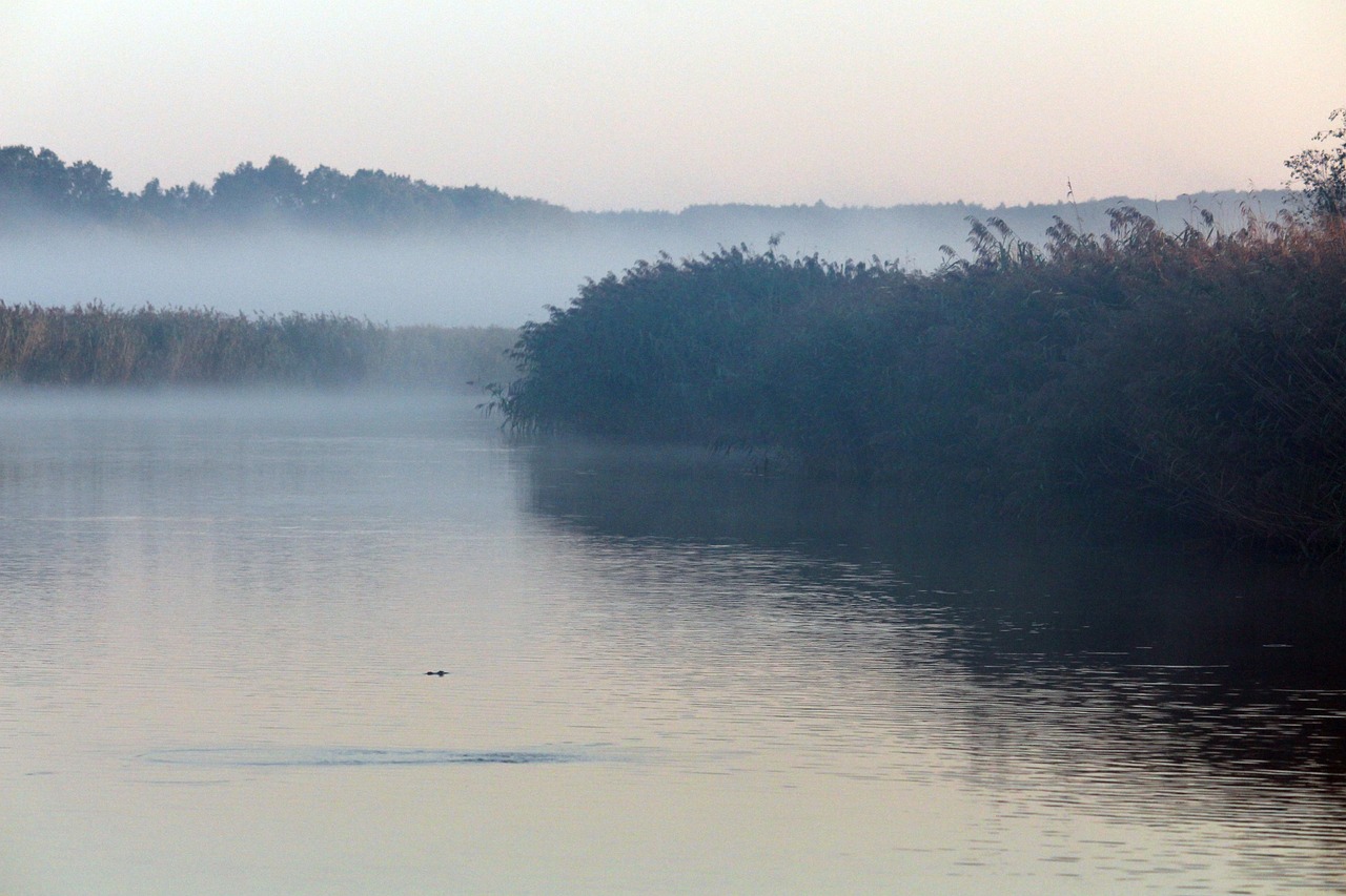 Morning Mist Fog Landscape - Free photo on Pixabay - Pixabay