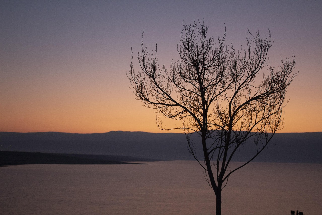 40,000+ Free Pixel Tree & Pixel Art Images - Pixabay