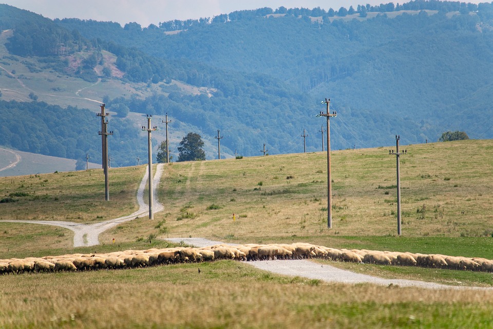 Transylvania Romania Field - Free photo on Pixabay - Pixabay