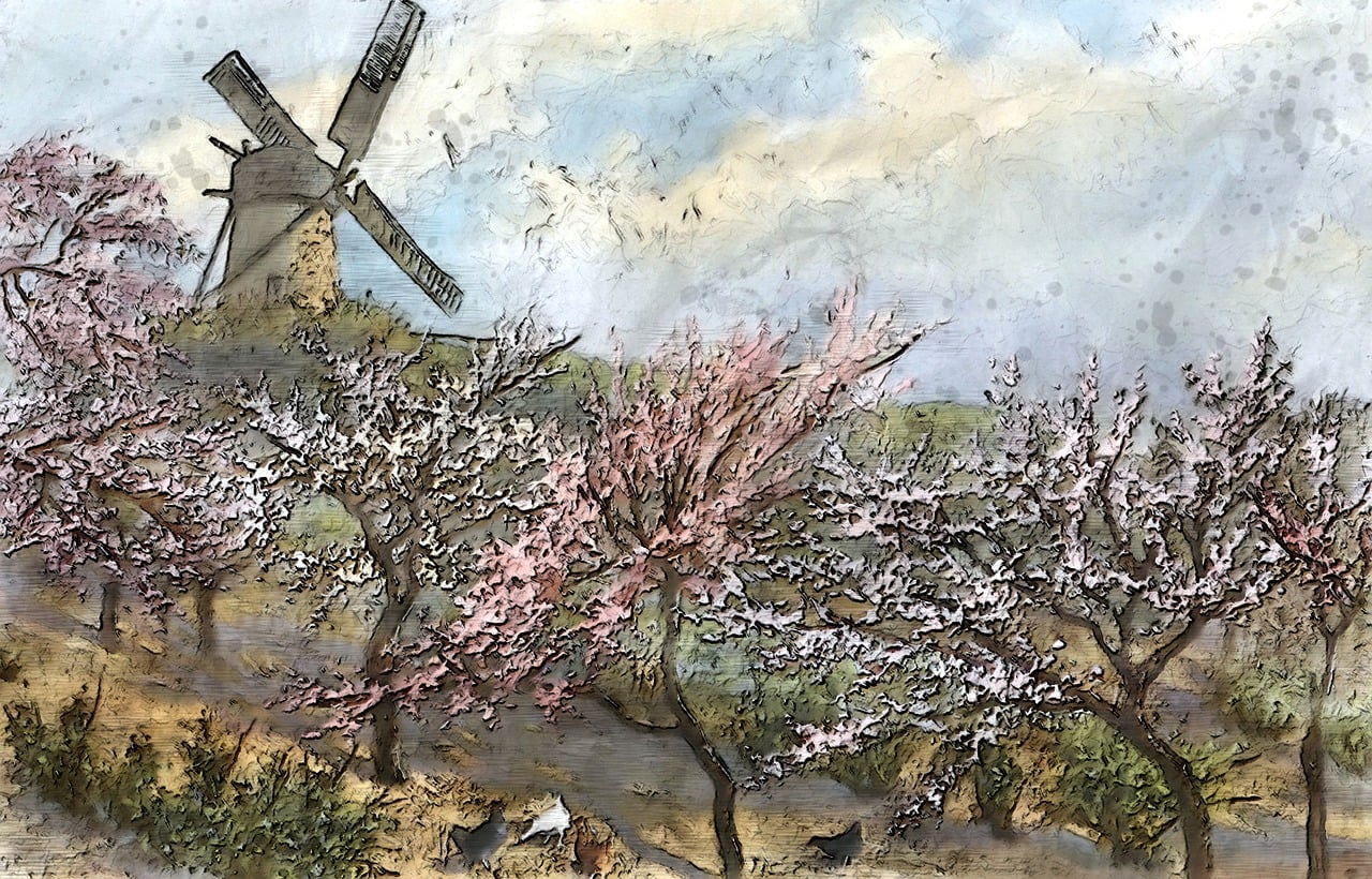 100+ Free Holland Trees & Holland Images - Pixabay