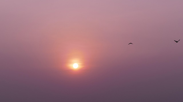 Sunrise Morning Sun Sunset - Free photo on Pixabay