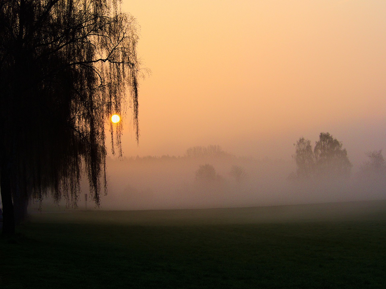 Nebel Landschaft Landschaftlich - Kostenloses Foto auf Pixabay - Pixabay
