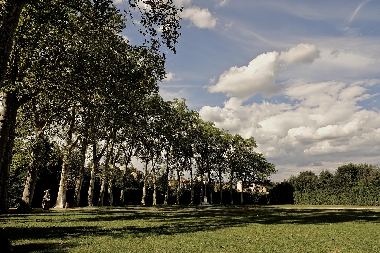 Parque Relajarse Naturaleza - Foto gratis en Pixabay - Pixabay