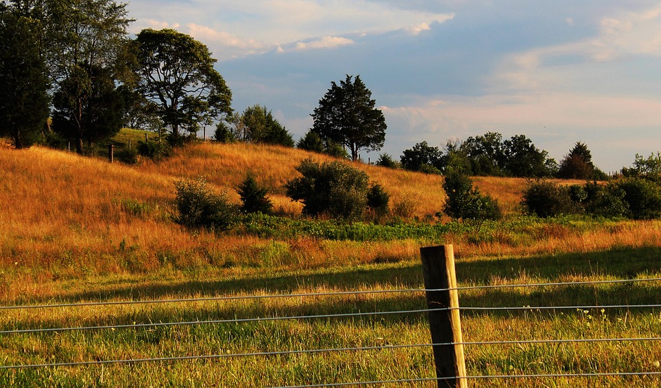 Shenandoah Valley Virginia Meadow - Free photo on Pixabay