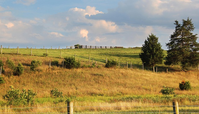 Shenandoah Valley Virginia Meadow - Free photo on Pixabay - Pixabay