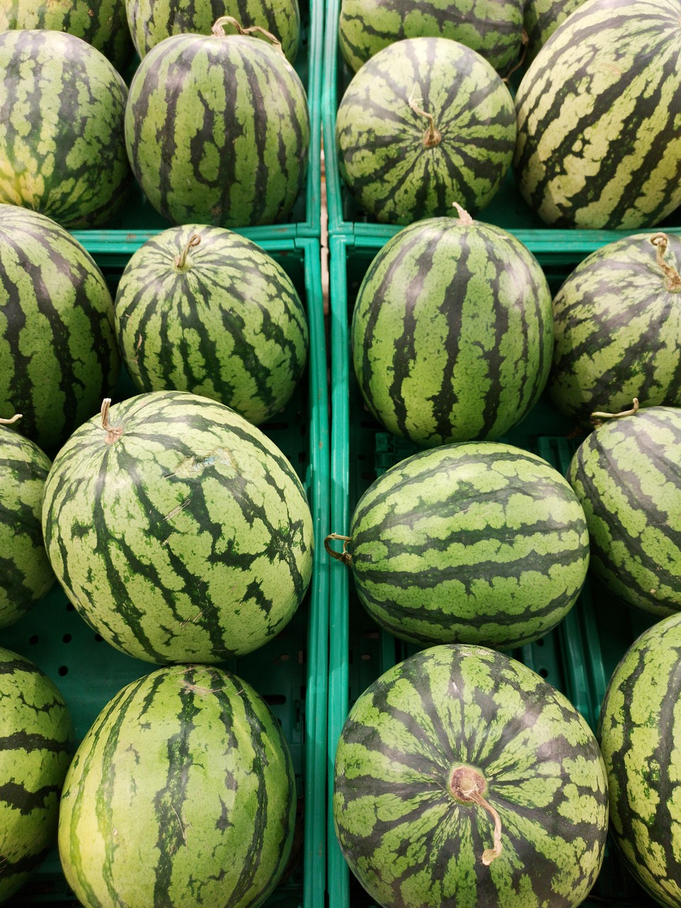Watermelon Vegetable Fruit - Free photo on Pixabay - Pixabay