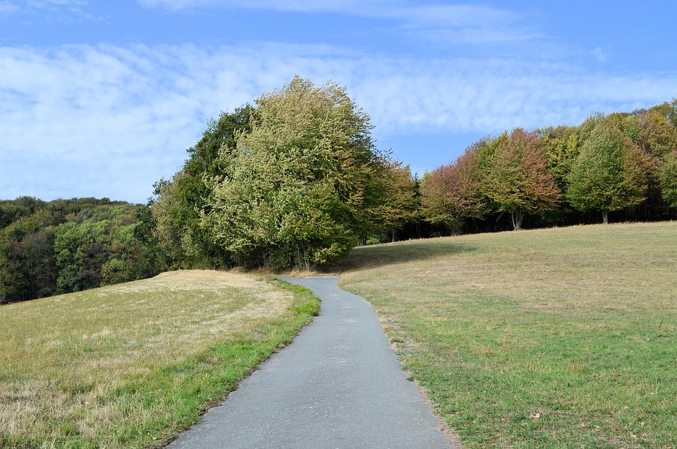 Landscape Tree Path - Free photo on Pixabay - Pixabay
