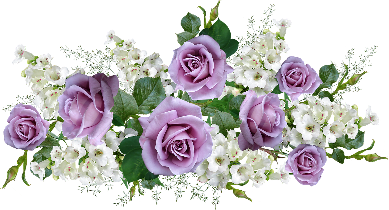 Flowers Mauve Roses - Free photo on Pixabay