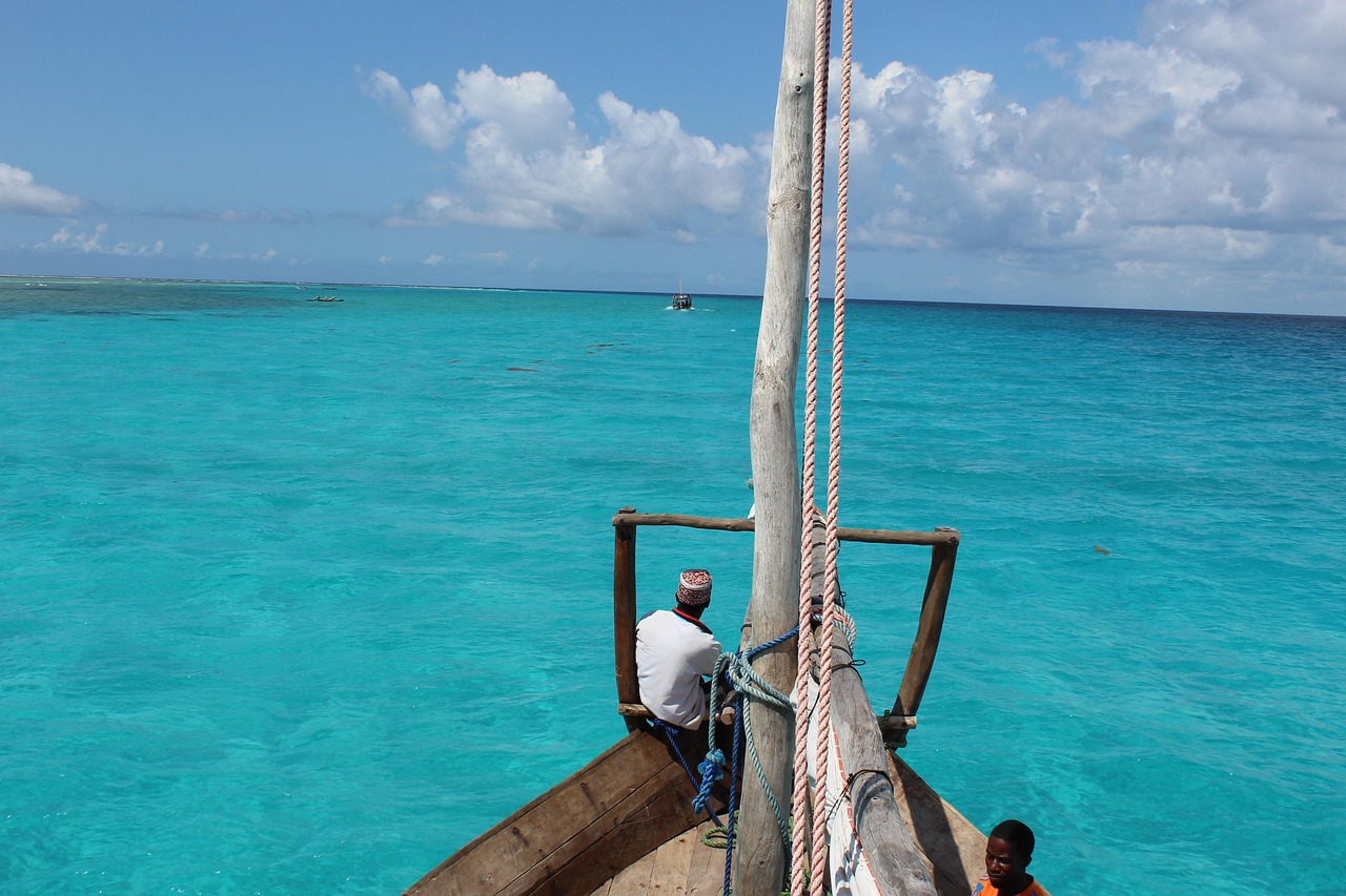 30,000+ Free Zanzibar Island & Zanzibar Images - Pixabay