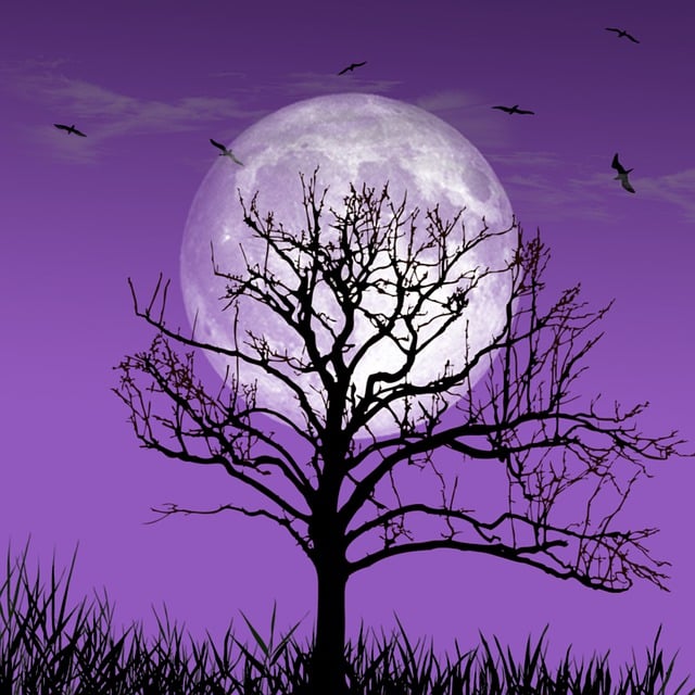 5,000+ Free Lilacs & Background Images - Pixabay