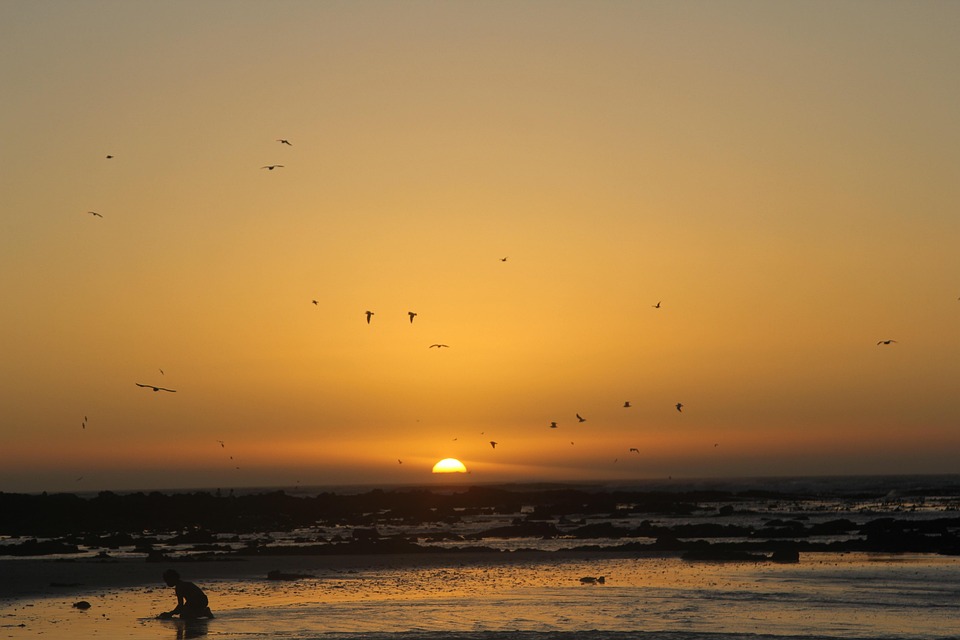 African Golden Sunset - Free photo on Pixabay