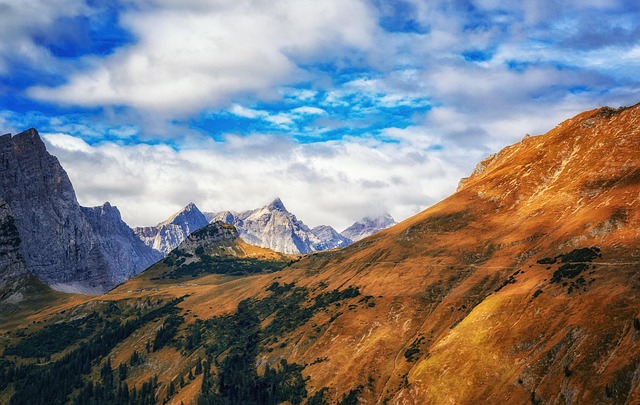 100+ Free Ffh Eng & Eng Images - Pixabay
