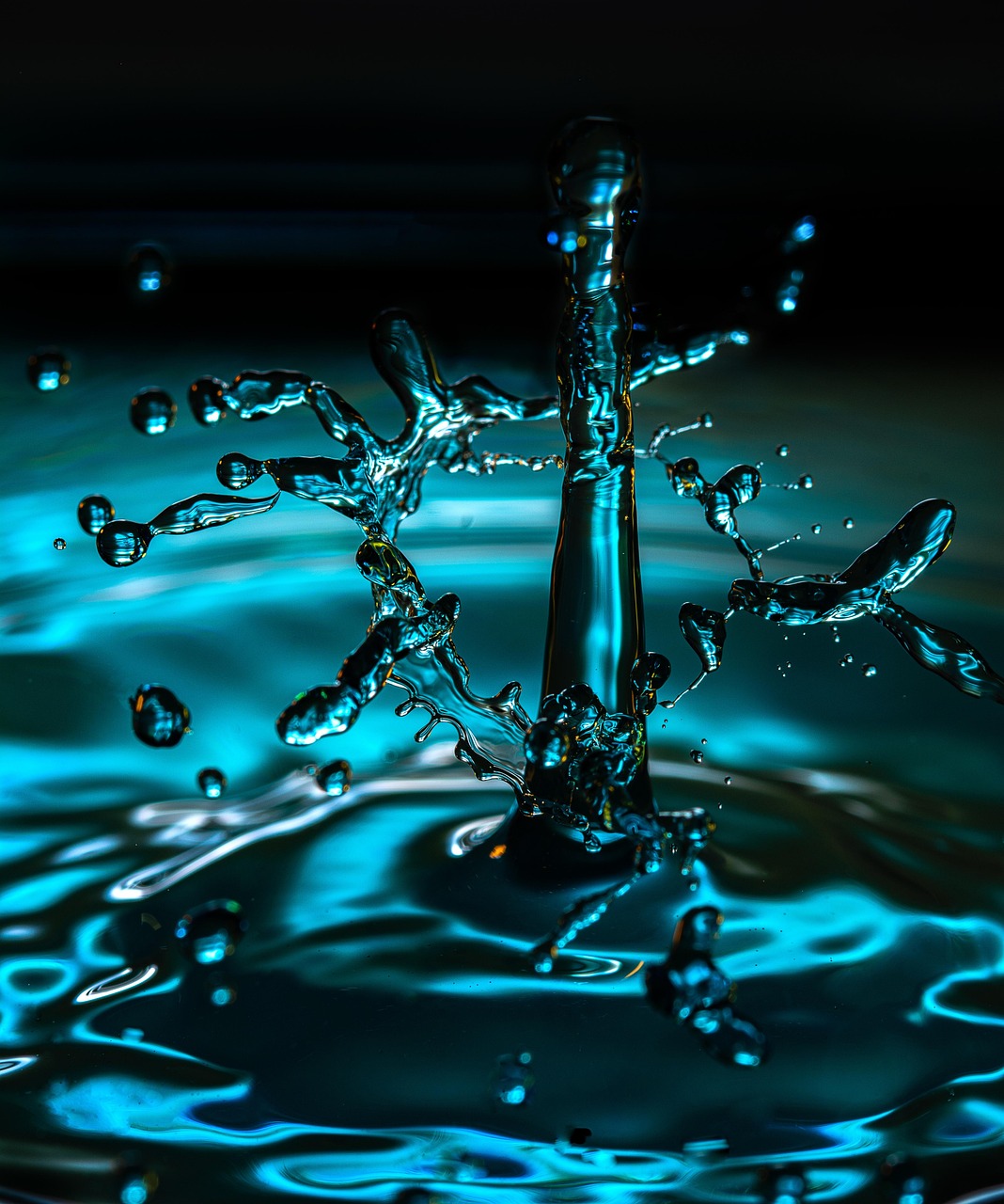 Fotos Gotas De Agua 30 Fotografías De Gotas De Agua Que Seguro Te