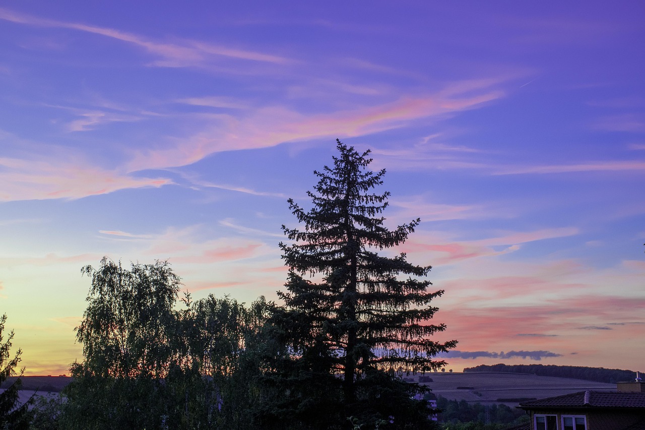 Horizont Outdoor Natur - Kostenloses Foto auf Pixabay - Pixabay