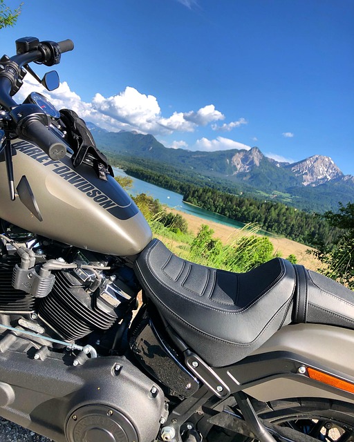 700+ Free Harley Davidson & Harley Photos - Pixabay
