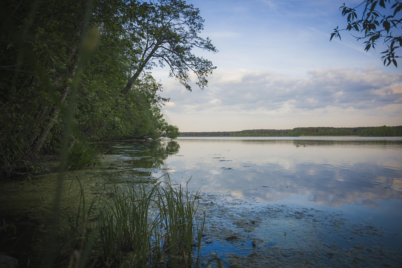 Lake Reflections Landscape - Free photo on Pixabay - Pixabay