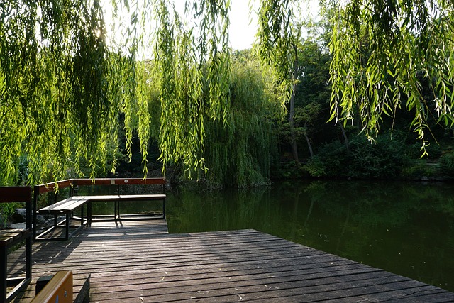 Pond Wood Deck Platform Weeping - Free photo on Pixabay