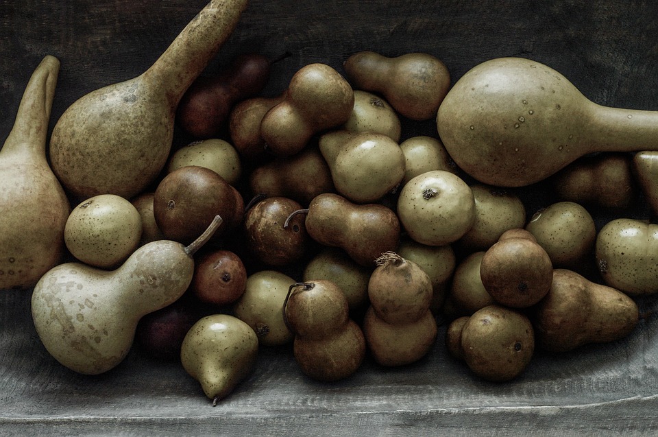 Fall Autumn Gourds Overhead - Free photo on Pixabay - Pixabay