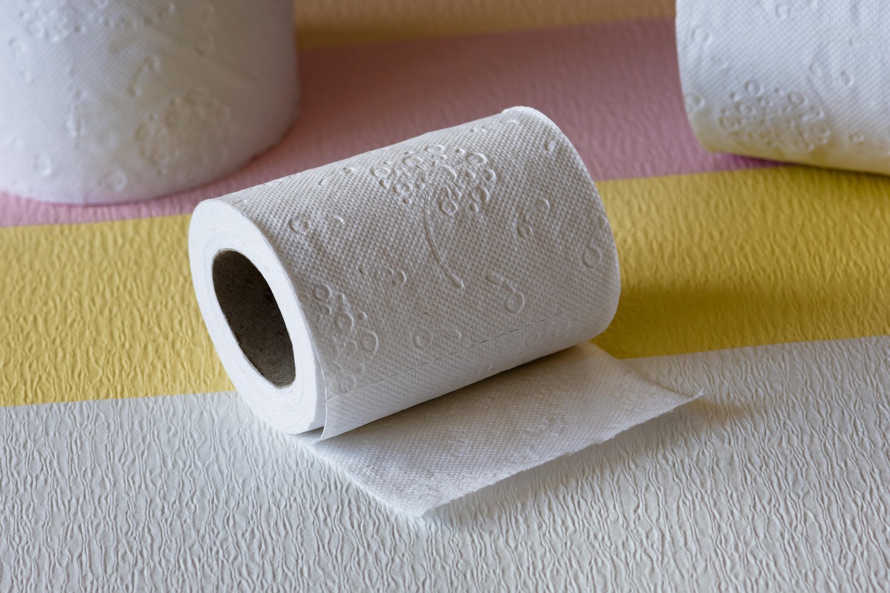 Papel Higienico Higiene - Foto gratis en Pixabay