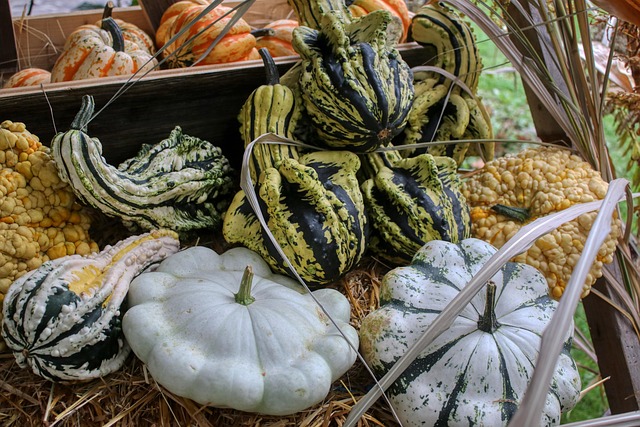Calabaza Octubre Verduras - Foto gratis en Pixabay - Pixabay