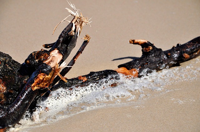 Plage Sable Mousse - Photo gratuite sur Pixabay - Pixabay