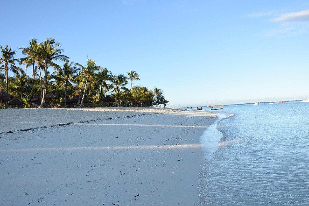 Zanzibar Ocean Tropical - Free photo on Pixabay - Pixabay