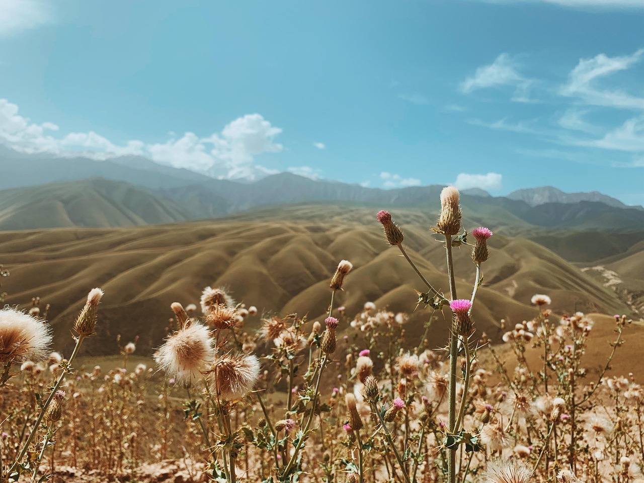 Plateau Snow Mountain Early Autumn - Free photo on Pixabay