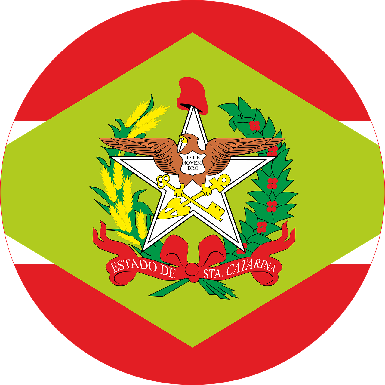 Brazil State Flag