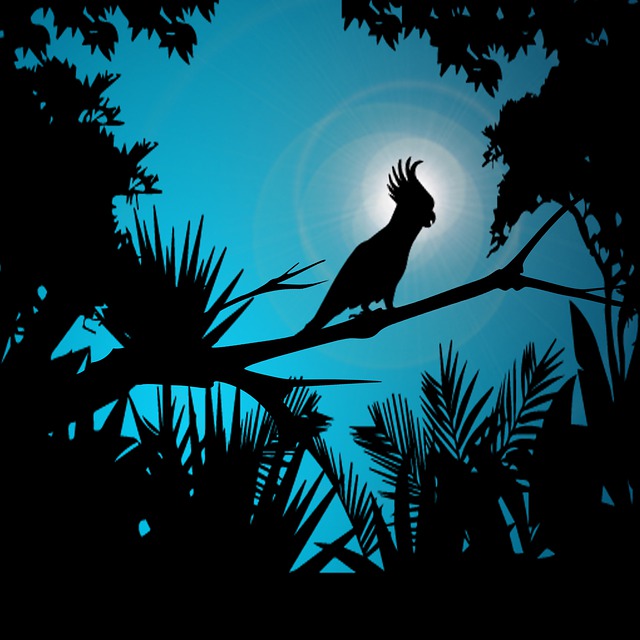 Download Cockatoo, Jungle, Twilight. Royalty-Free Stock Illustration ...