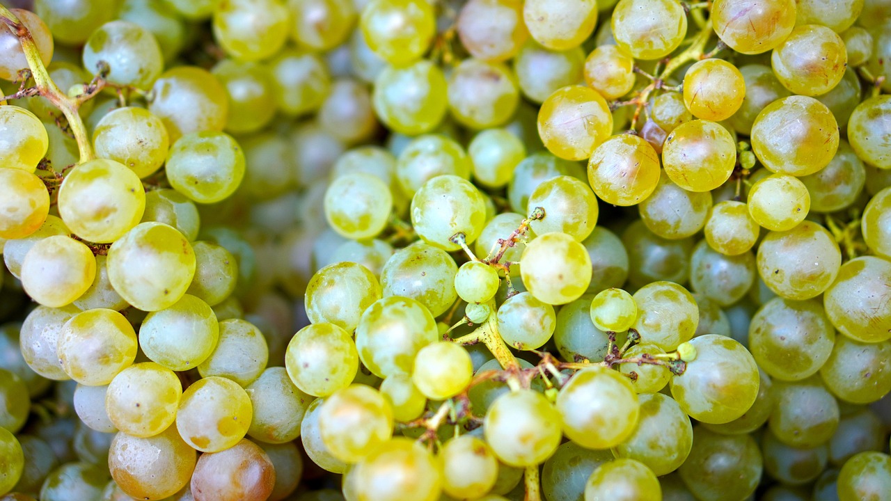 100,000+ Free Growing Food & Food Images - Pixabay