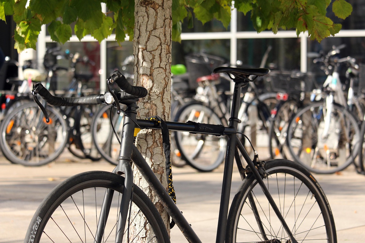 Cycles Bike City Students - Free photo on Pixabay - Pixabay