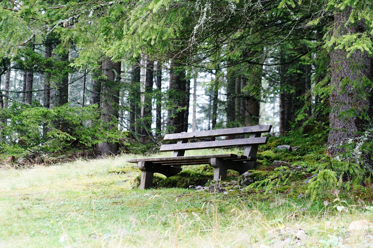 Bank Alm Wald - Kostenloses Foto auf Pixabay - Pixabay
