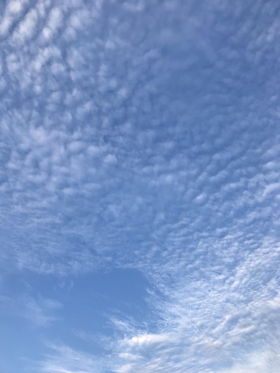 Blue Sky Clear Pixabay의 무료 사진 Pixabay