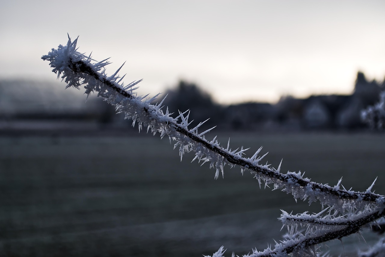 Helado Invierno Nieve - Foto gratis en Pixabay - Pixabay