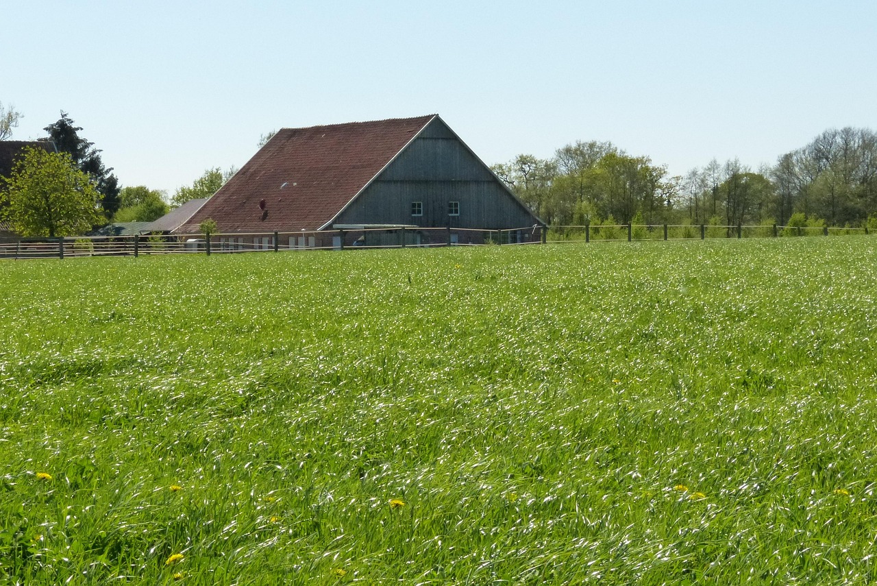 House Nature Court - Free photo on Pixabay - Pixabay