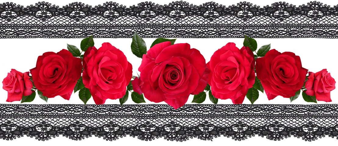 300+ Free Rose Border & Border Images - Pixabay