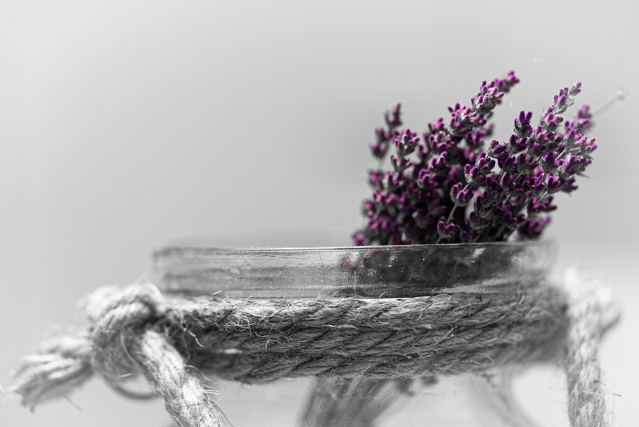 Lavender Glass Flower - Free photo on Pixabay - Pixabay