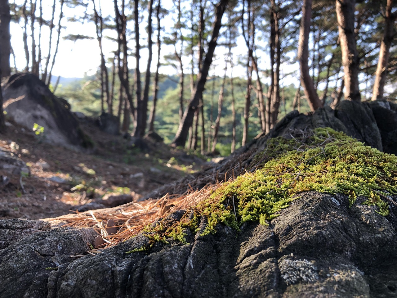 Pedras Natureza Panorama - Foto gratuita no Pixabay - Pixabay
