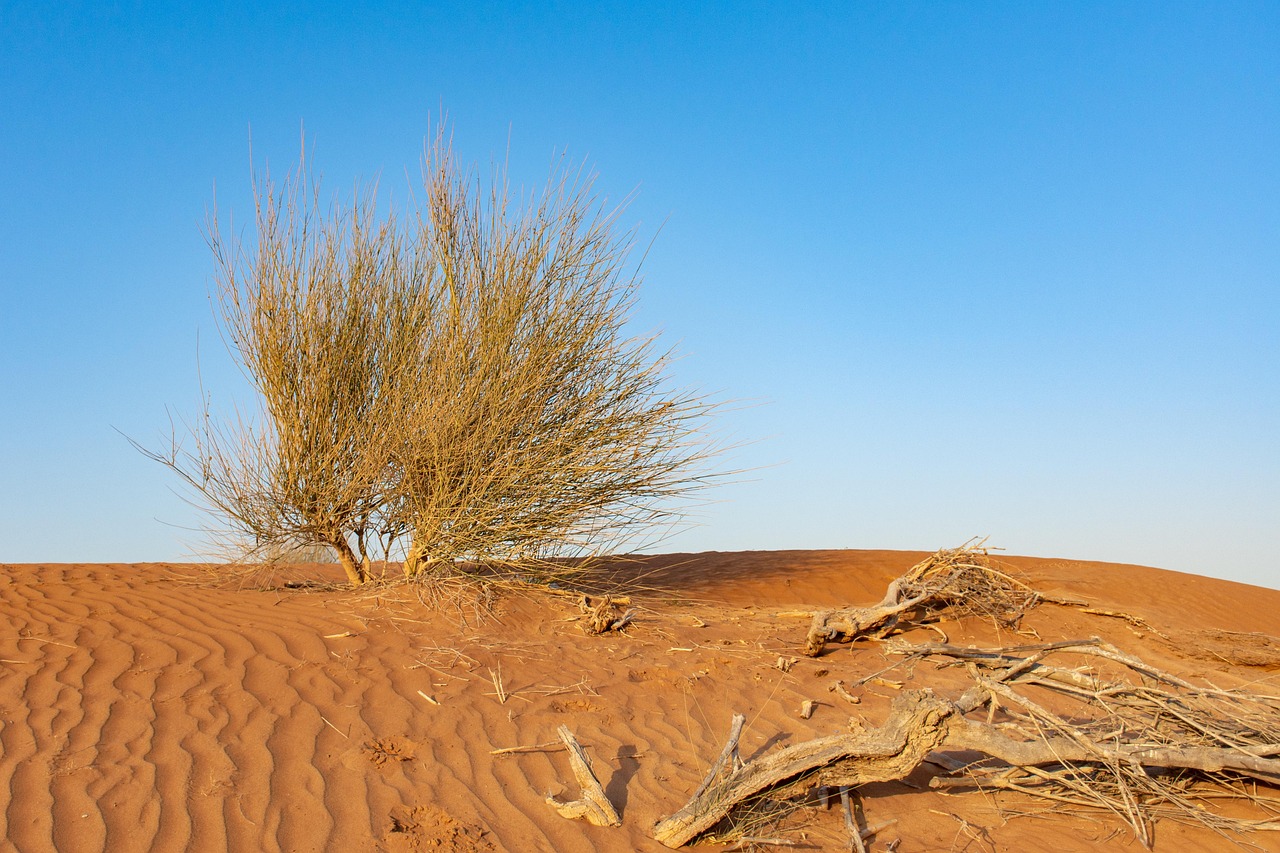 Desert Dirt Dry - Free photo on Pixabay