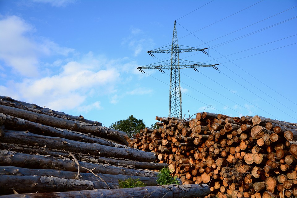 Wood Electricity Energy - Free photo on Pixabay - Pixabay