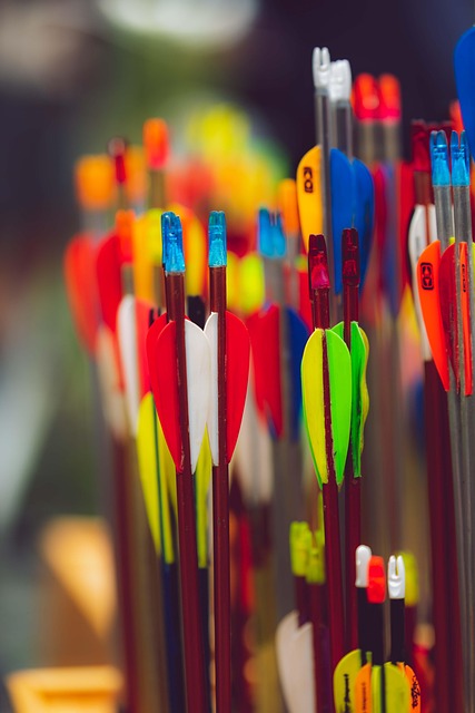 300+ kostenlose Bogenschiessen und Bogenschießen-Bilder - Pixabay