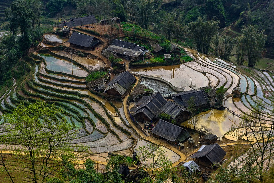 Vietnam Farm Agriculture - Free photo on Pixabay