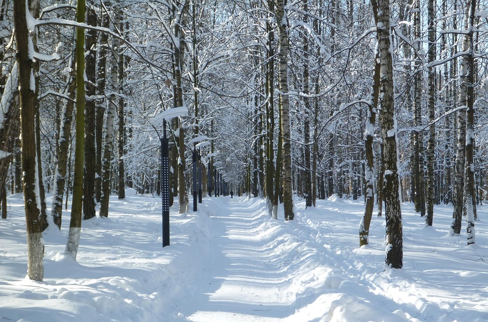 Invierno Nieve Paisaje El - Foto gratis en Pixabay