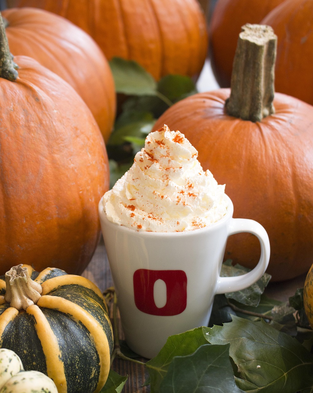 Price Pumpkin Drink In The - Free photo on Pixabay