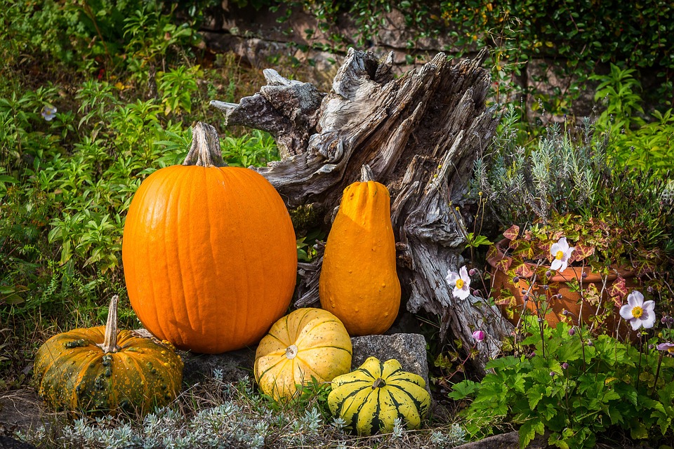 Citrouille Tombe Halloween - Photo gratuite sur Pixabay