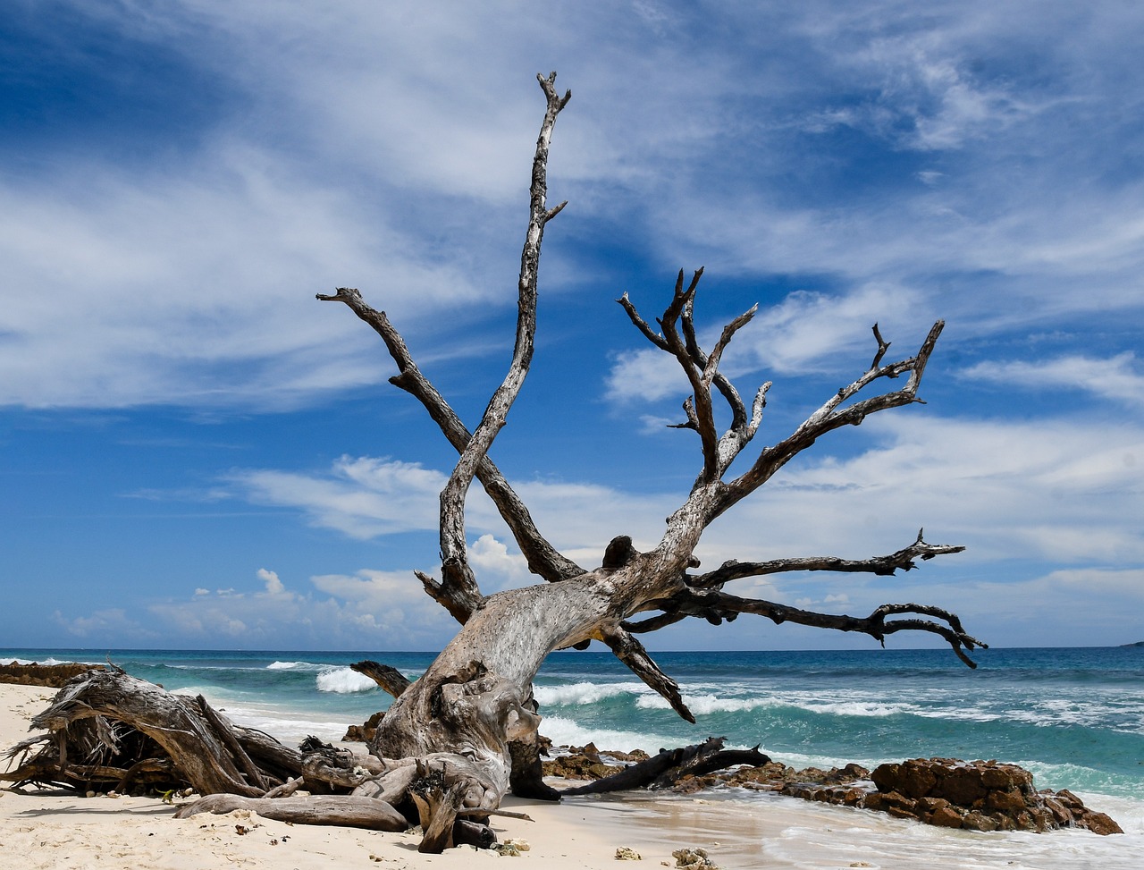 Seychelles Beach Beachfront - Free photo on Pixabay - Pixabay