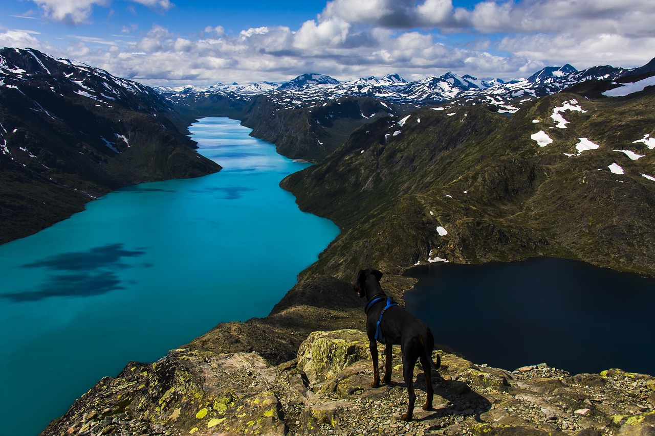 The Nature Of Landscape Gjende - Free photo on Pixabay