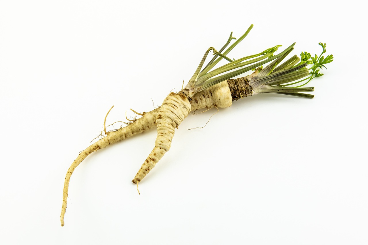 Parsley Root Food - Free photo on Pixabay