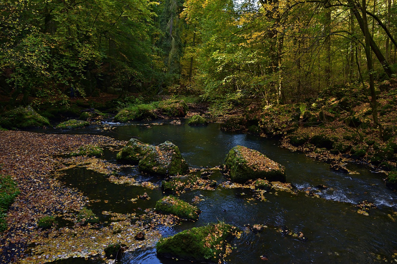 Otoño Naturaleza Arroyo - Foto gratis en Pixabay - Pixabay