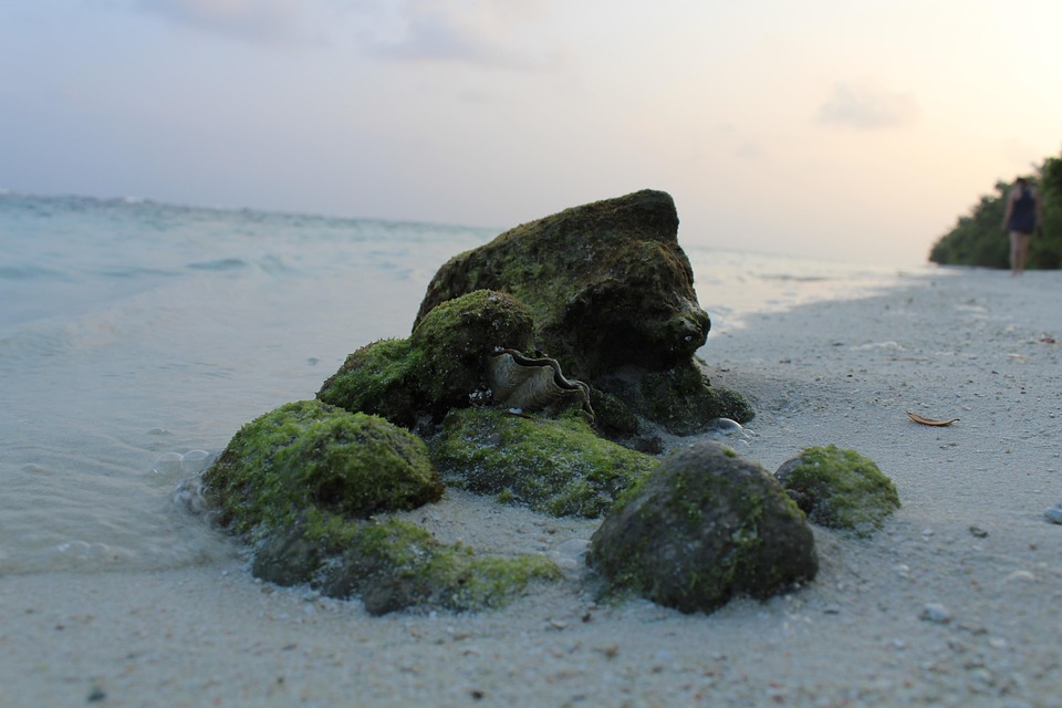 Sand Water Beach - Free photo on Pixabay - Pixabay